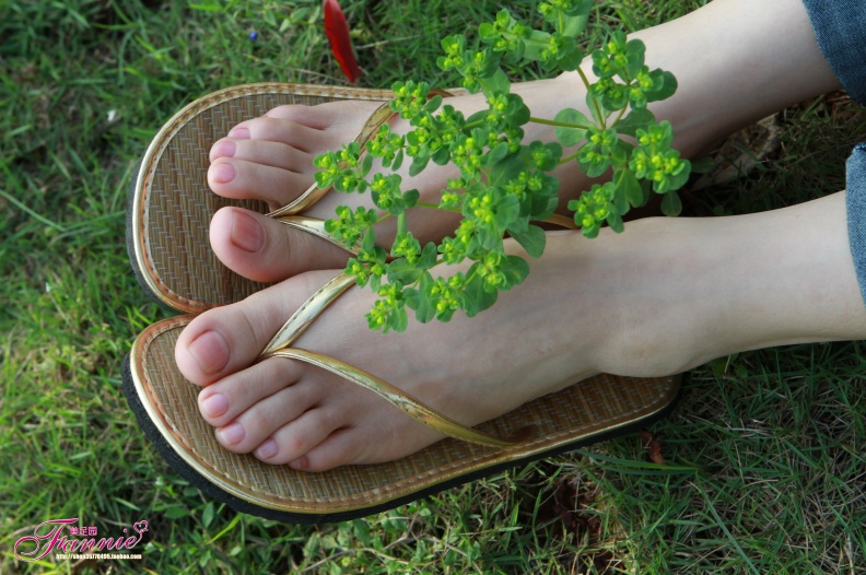 DSC 0020 | （福妹）主题相册